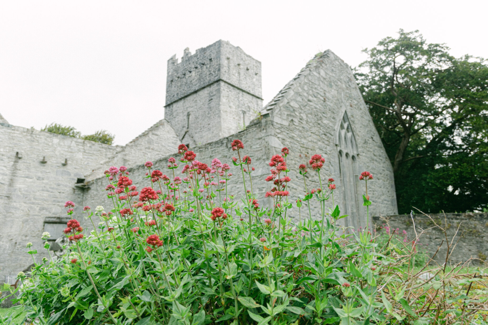 Unveiling the Enchanting Charm of Irish Castle Venues for Luxury ...